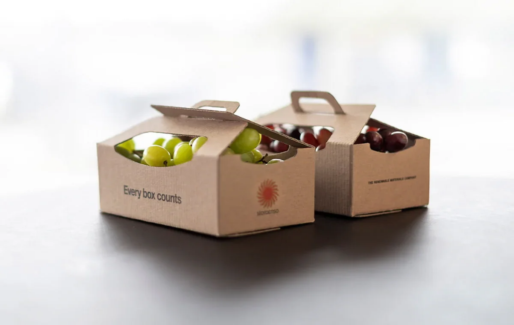 Disposable Food Packaging Manufacturer & Supplier - Stonesmentor