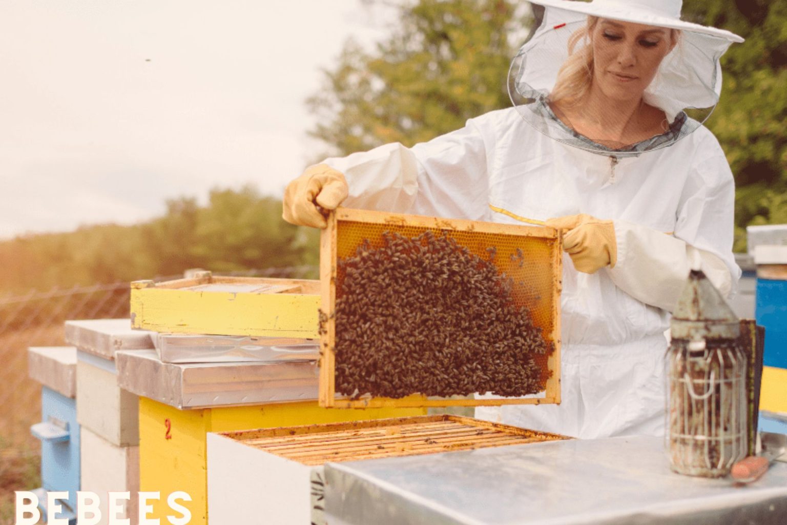 Wear with Care: The Essential Beekeepers Suit Handbook - Stonesmentor