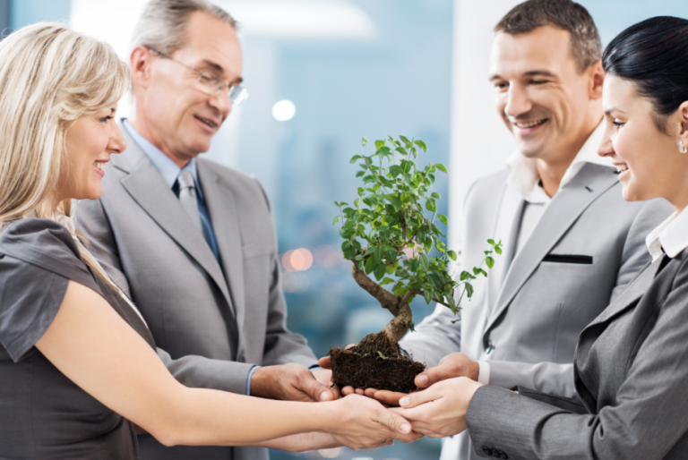 7 Sustainable Packaging Solutions for Eco-Friendly Businesses ...