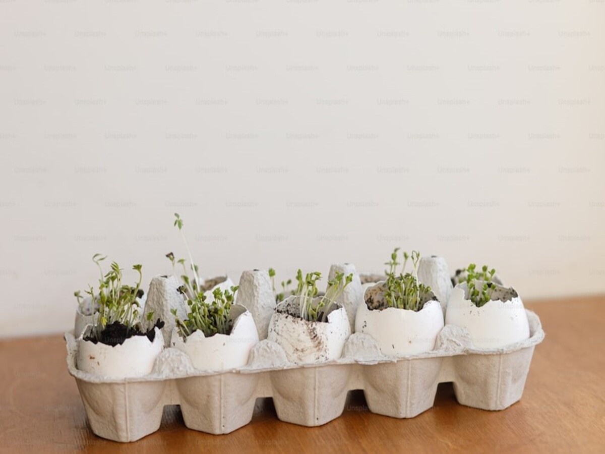Creative Repurposing: DIY Projects With Empty Egg Cartons - Stonesmentor