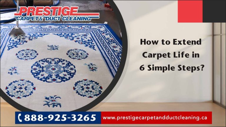 How to Extend Carpet Life in 6 Simple Steps? - Stonesmentor