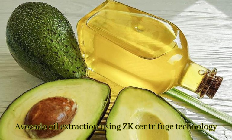 Avocado oil extraction using ZK centrifuge technology - Stonesmentor